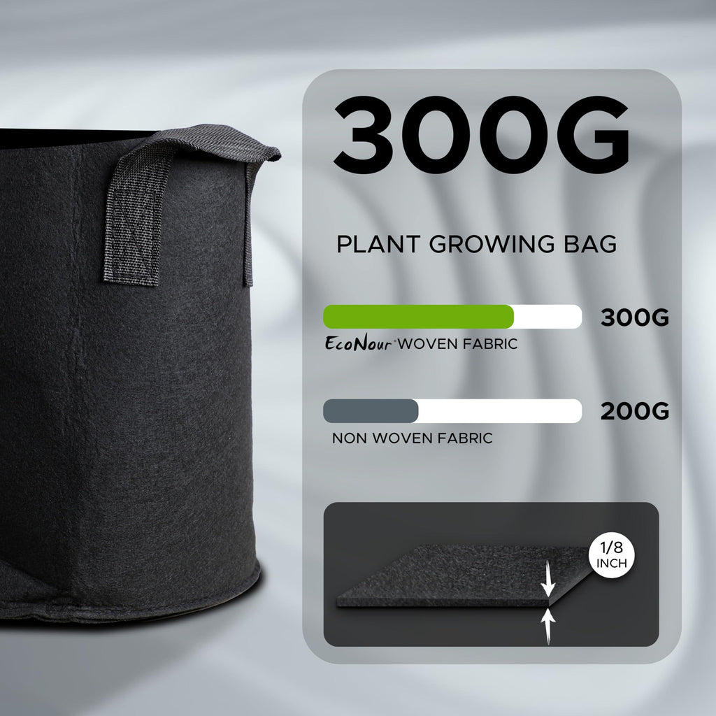 New Arrivals Auto Accessories Online at Best Price | EcoNour | EcoNour