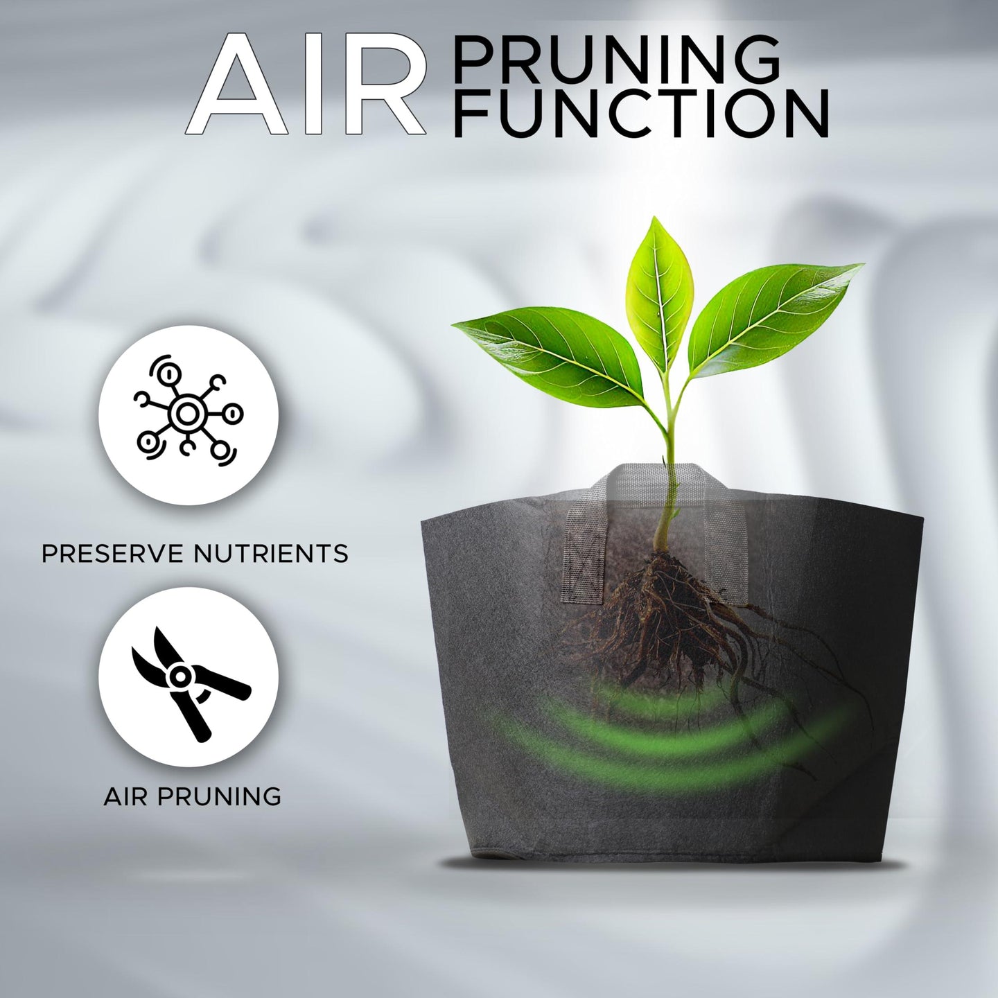 New Arrivals Auto Accessories Online at Best Price | EcoNour | EcoNour