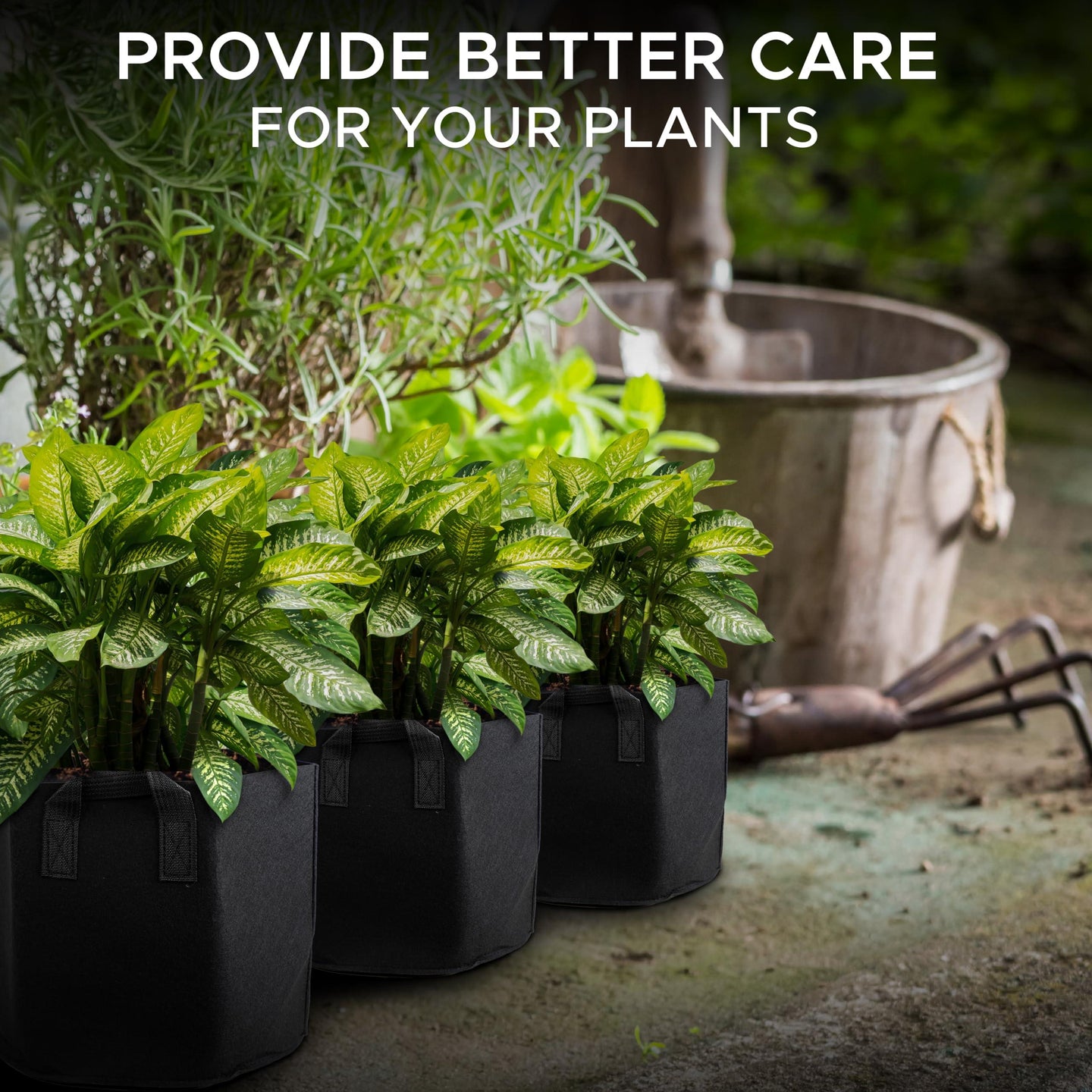 New Arrivals Auto Accessories Online at Best Price | EcoNour | EcoNour